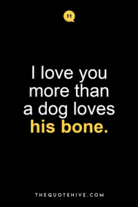 200+ Funny Love Quotes: Laugh Your Way Through Love