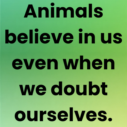 100 Inspirational Pet Quotes That Celebrate Loyalty, Love, And Life’s ...