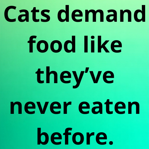 100 Funny Pet Quotes That Perfectly Capture The Chaos, Cuteness, And ...