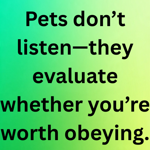 100 Funny Pet Quotes That Perfectly Capture The Chaos, Cuteness, And ...