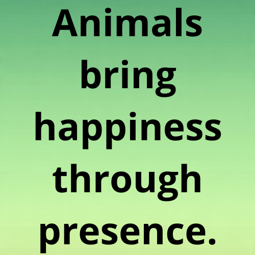 100 Inspirational Pet Quotes That Celebrate Loyalty, Love, And Life’s ...