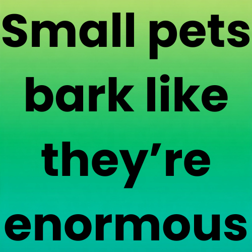 100 Funny Pet Quotes That Perfectly Capture The Chaos, Cuteness, And ...
