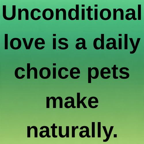 100 Inspirational Pet Quotes That Celebrate Loyalty, Love, And Life’s ...