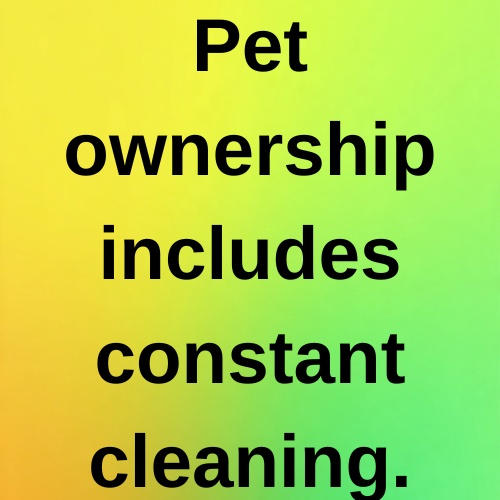 100 Funny Pet Quotes That Perfectly Capture The Chaos, Cuteness, And ...