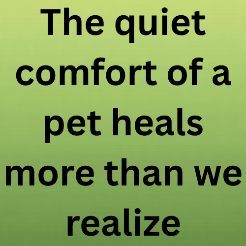 100 Inspirational Pet Quotes That Celebrate Loyalty, Love, And Life’s ...