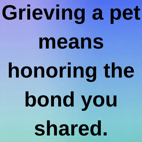 100 Quotes About Losing A Pet That Honor Love, Grief, And The Bond That ...
