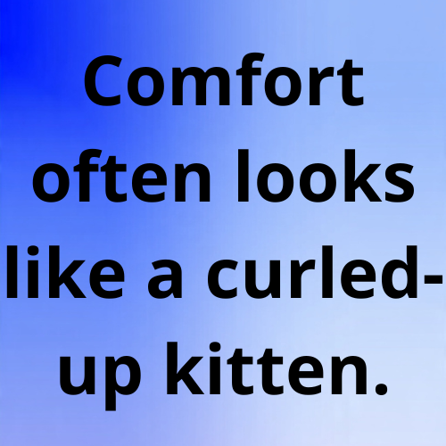 100 Quotes About Kittens That Celebrate Tiny Paws, Big Hearts, And ...