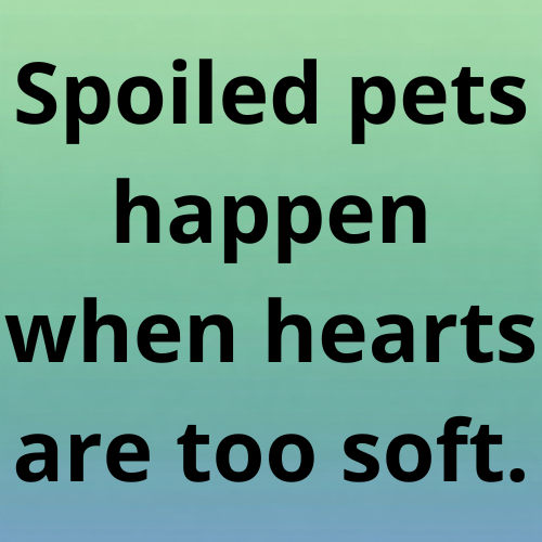 100 Quotes About Spoiled Pets That Prove They’re Living Their Best (and ...